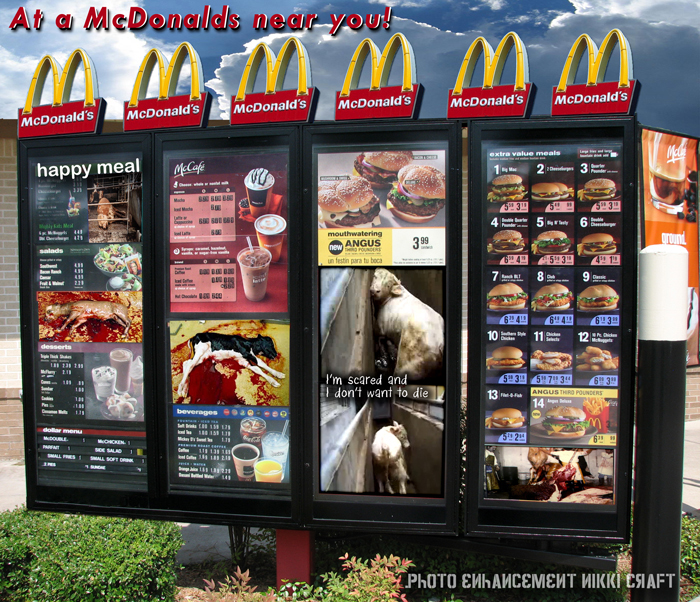 McDonald's graphics I created by Nikki Craft