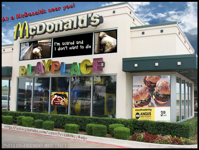 McDonald's graphics I created by Nikki Craft